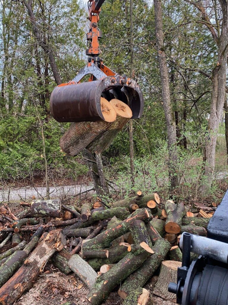 Image Gallery | T&T Tree Service | NWI Tree Services